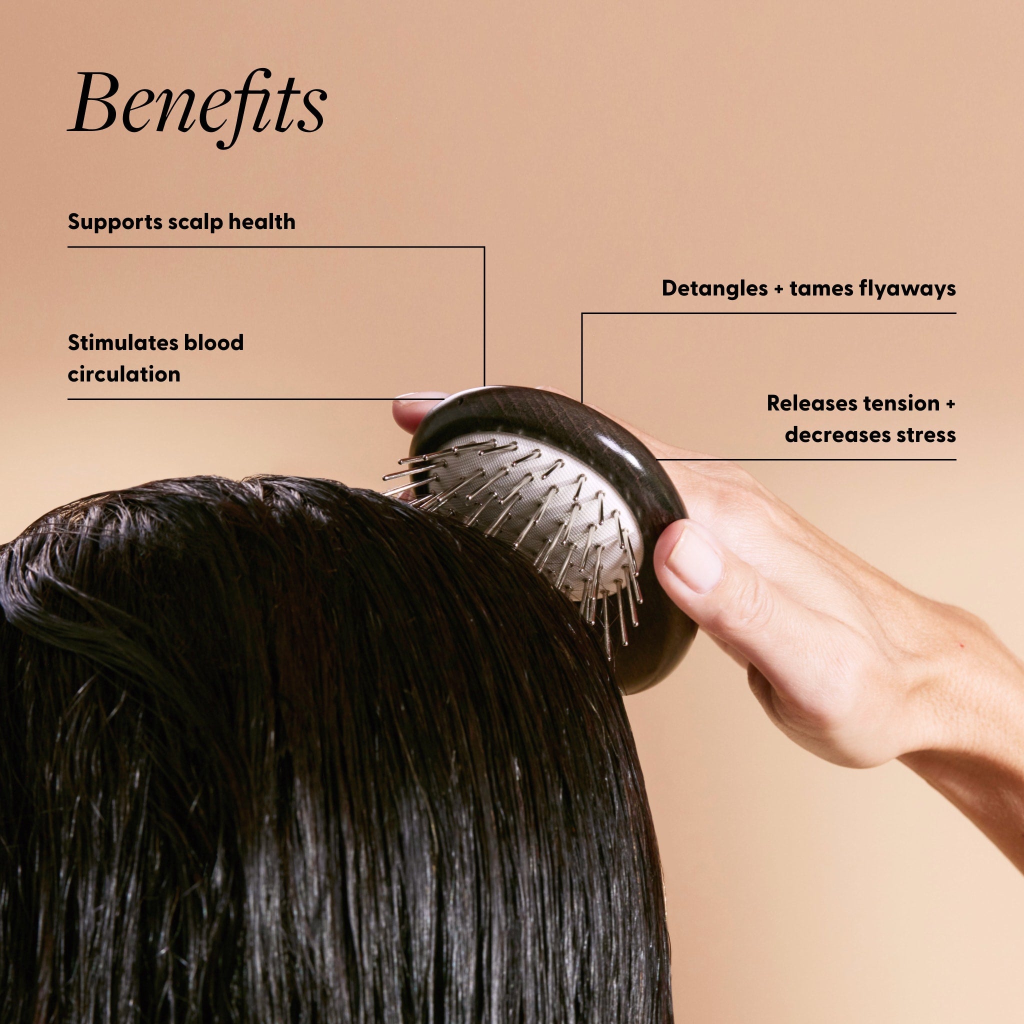 Arey: The Scalp Brush